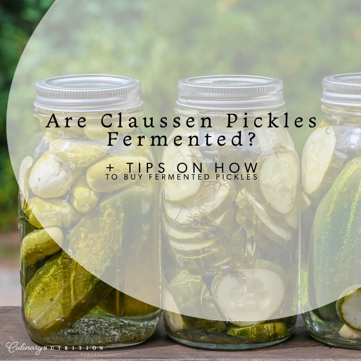 Are Claussen Pickles Fermented? (+ tips on how to find fermented ...