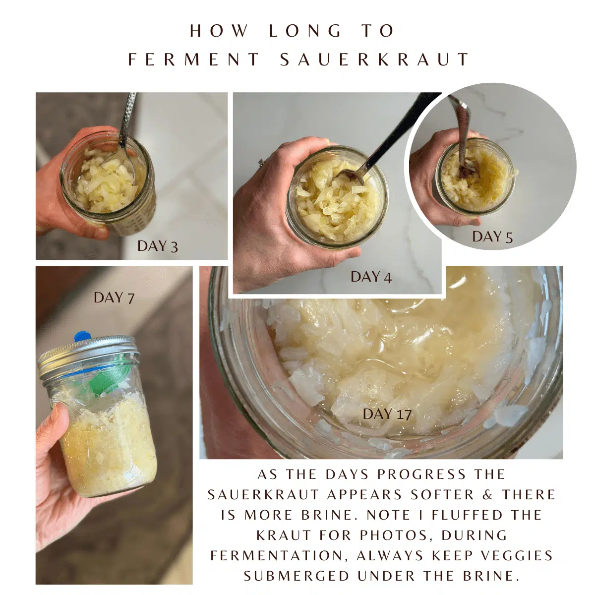 How Long to Ferment Sauerkraut for the Best Results - Seeking Thyme